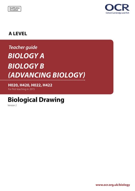 Lesson 6 making biological drawings & using keys | PPTX