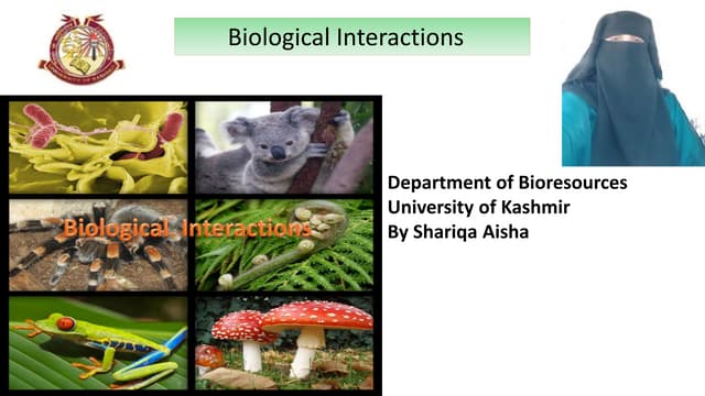 Interactions within ecosystems | PPT
