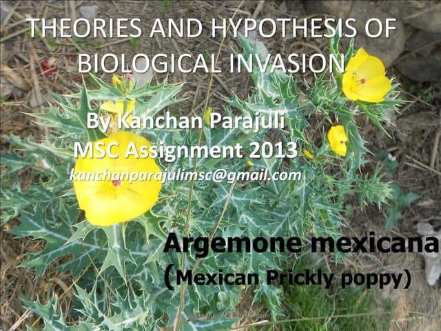 Intruders_in_Ecosystems_Expert.pptx00000 | PPTX