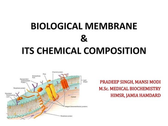 plasma membrane FUNCTION AND STUCTURE..pptx