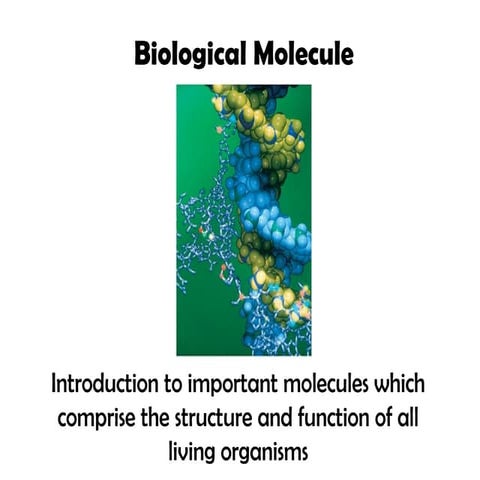 Physical Science - Biological Macromolecules.pptx
