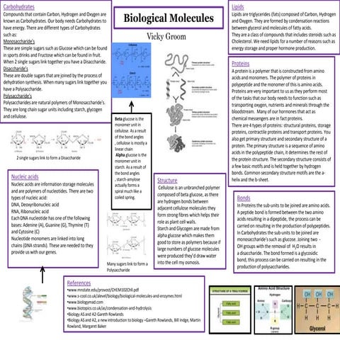 Biological molecules | PPTX