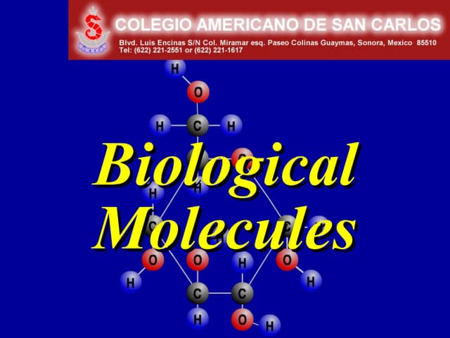 Biological molecules | PPT