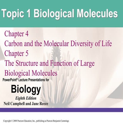 1 _ BIOLOGICAL MOLECULES CARBOHYDRATES 1.pptx