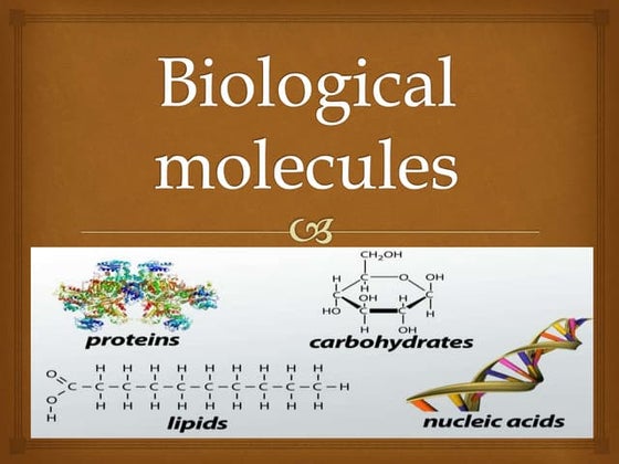 Mr Exham's Guide to writing up a Biology Practical Investigation | PPT