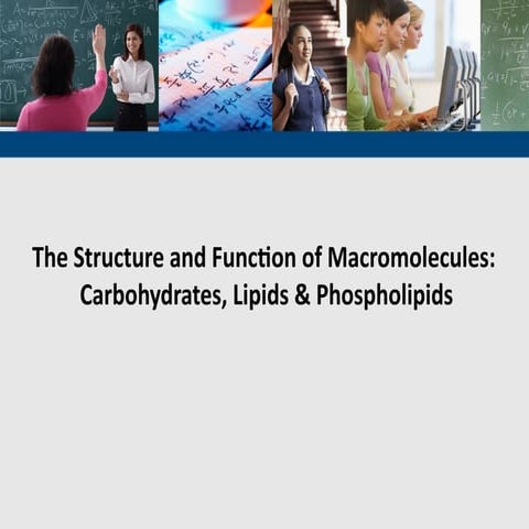 BIOLOGY: BIOLOGICAL MOLECULES (Macro structure and function).pptx