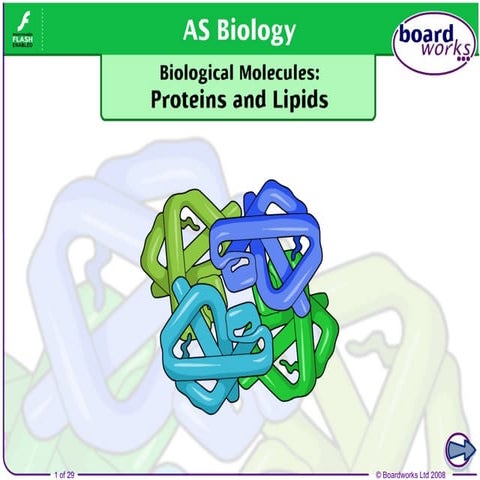 Comprehensive Overview of Proteins and Lipids: Structure, Function, and ...