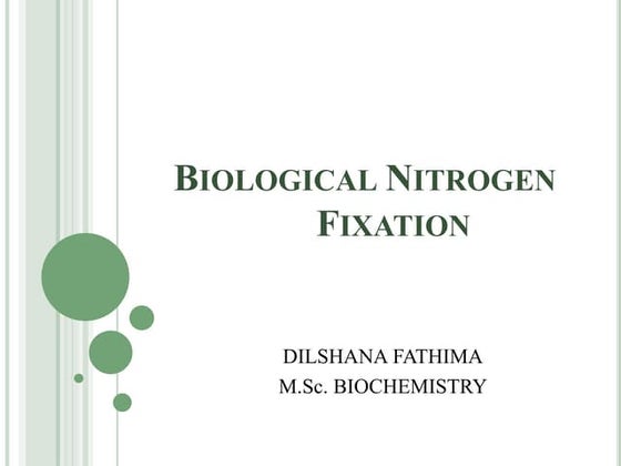 Nitrogen fixation | PPTX | Gardening | Home & Garden
