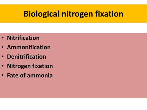 Nitrogen cycle.ppt