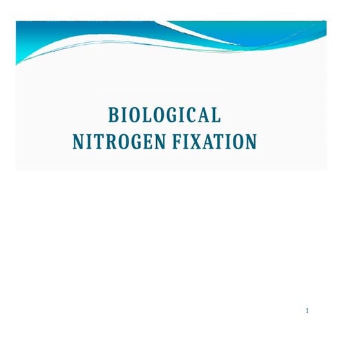 biological_nitrogen_fixation.Genetic Mechanismpptx | PPTX
