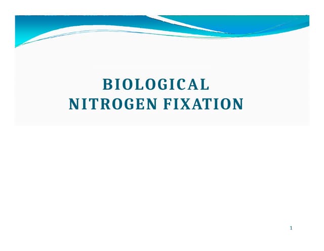 symbiotic and non symbiotic nitrogen fixation.pptx