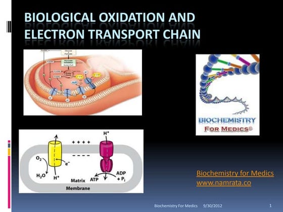 Electron transport chain | PPT