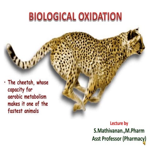 Biological oxidation of ATP synthesis | PPT