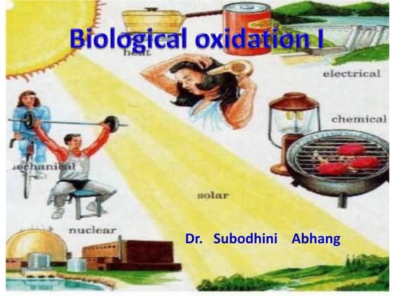 Electron transport chain terminal oxidation oxidation phosphorylation | PPT