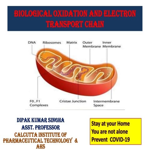Biological oxidation L1 | PPT