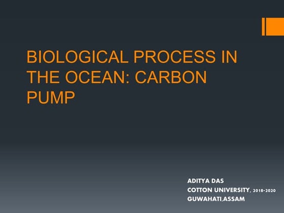 describe the oceans solubility pump and the oceans biological pump u.pdf