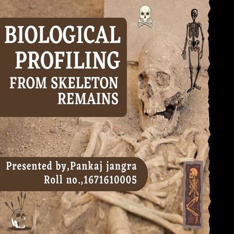 Biological profiling from skeleton remains. | PPTX