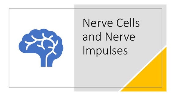 Brains@Bay Meetup: A Primer on Neuromodulatory Systems - Srikanth ...