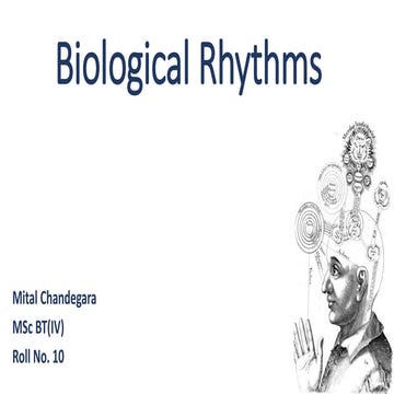 Biological rhythms | PPTX