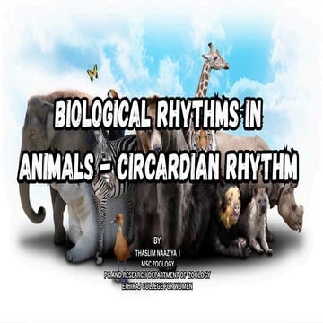 biological rhythms in animals - circardian rhythm.pdf
