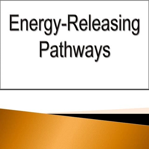 Biological science:Energy-Releasing Pathways | PPT