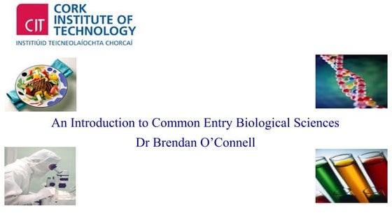 Title Page For Assignment, A sample | PDF