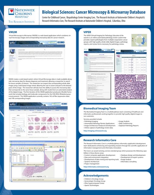 Xanadu Based Medical Big Data CBIR System for Automated Diseases ...
