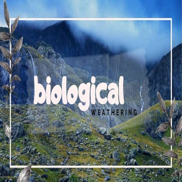Biological weathering | PPTX