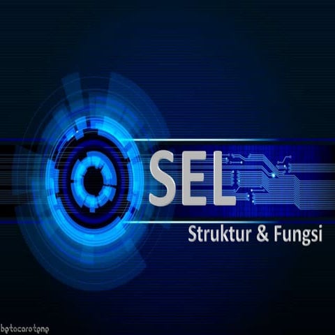 SEL | PPTX