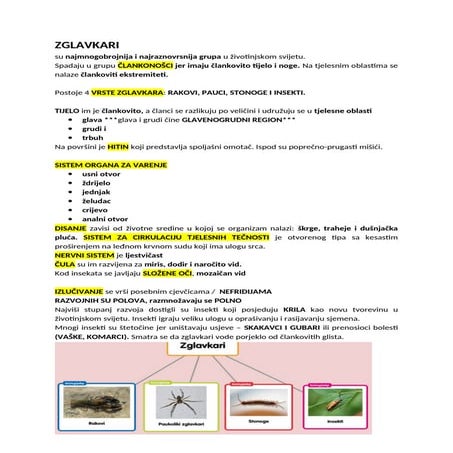 Biologija zglavkari TEORIJA BIOLOGIJA ZA osnovne skole lekcija | DOCX