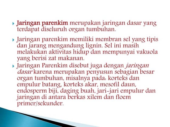 ARINGAN EPIDERMIS DAN JARINGAN PARENKIM.pptx