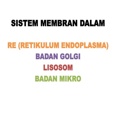 Biologi sel pertemuan ke 7.pptx