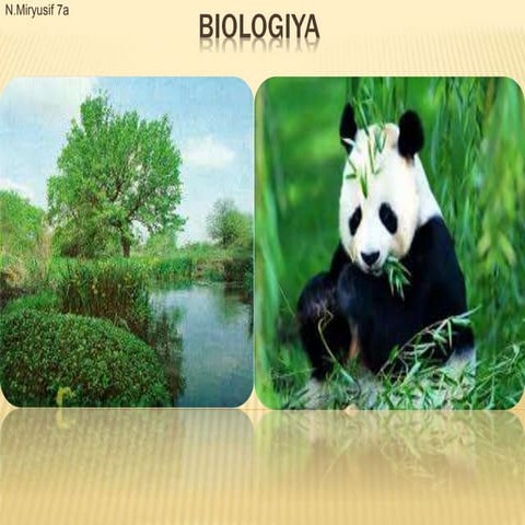7ci sinif Biologiya slide | PPTX