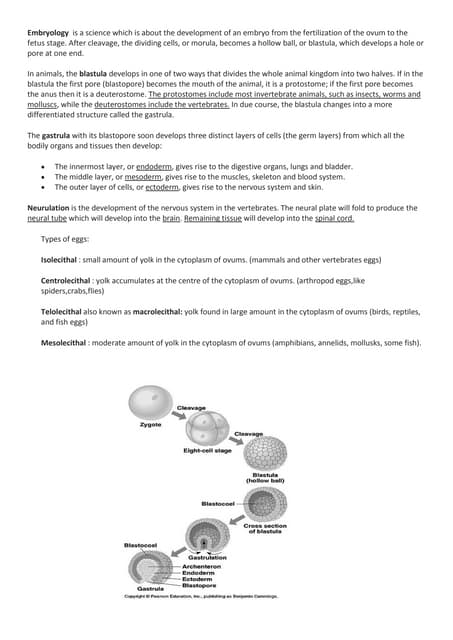 General Embryology | PPTX