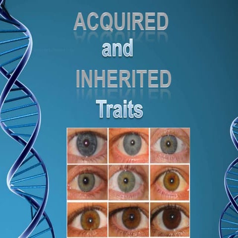 Acquired and Inherited Traits | PPTX