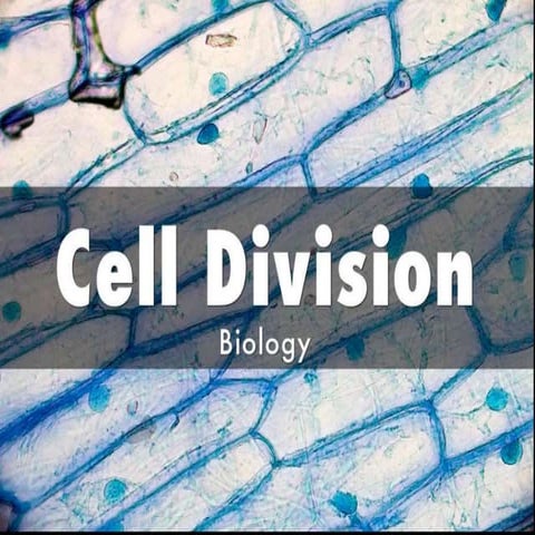 Cell Division (Biology Senior High School) | PPTX