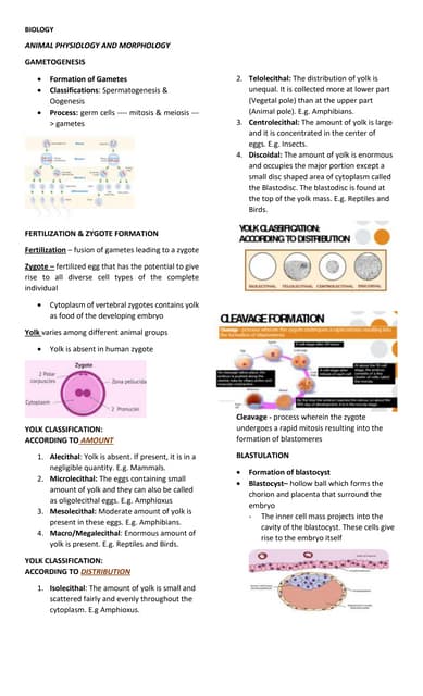 Structure and Reproduction of Paramecium | PPT