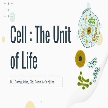 Biology - Cell-The Unit of Life (Mitochondria & Plastids) PPT Groupwork ...