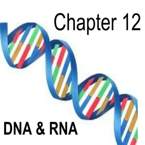 Biology - Chp 12 - DNA & RNA - PowerPoint | PPT