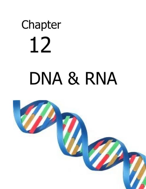 Biology DNA Blueprint Unit 2 Review.pptx