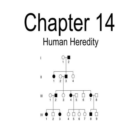 Biology - Chp 14 - Human Heredity - PowerPoint | PPT