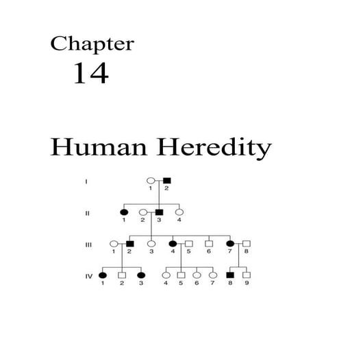 Biology - Chp14 - Human Heredity - Notes | DOC