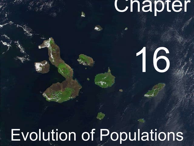 Mechanisms of Evolution: Population Selection and Change | PPT