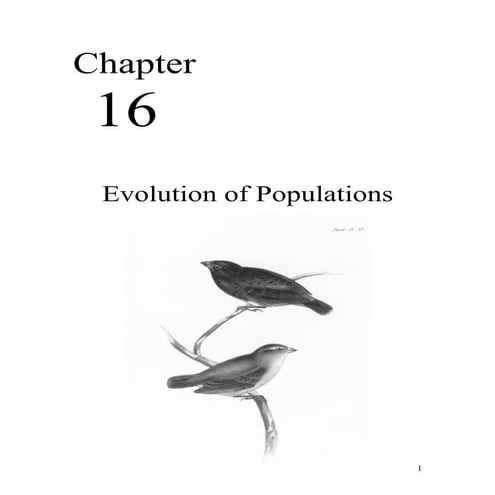 Biology - Chp 16 - Evolution of Populations - Notes | PDF