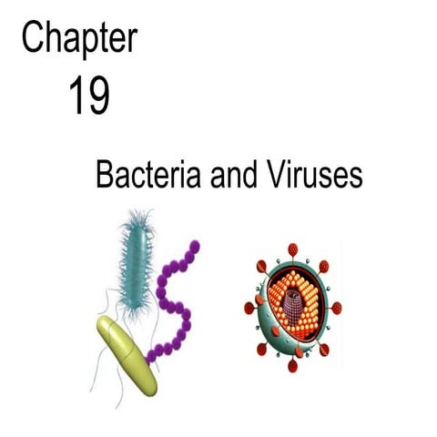Biology - Chp 19 - Bacteria And Viruses - PowerPoint | PPT | Chemistry ...