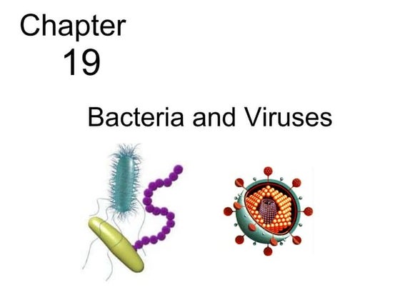 Bacteria & Virus | PPT
