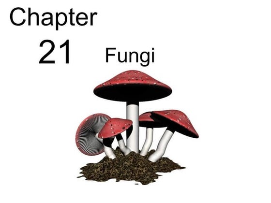 Ecology Of Fungi | PPT