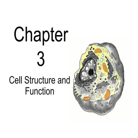 Biology - Chp 3 - Cells - PowerPoint | PPT