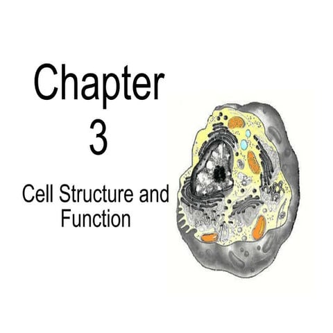Biology - Chp 3 - Cells - PowerPoint | PPT