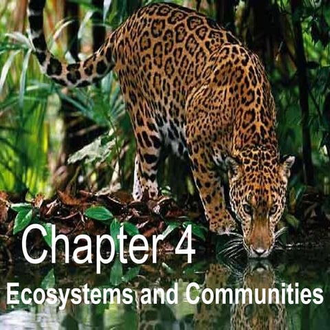 Biology - Chp 4 - Ecosystems And Communities - PowerPoint | PPT